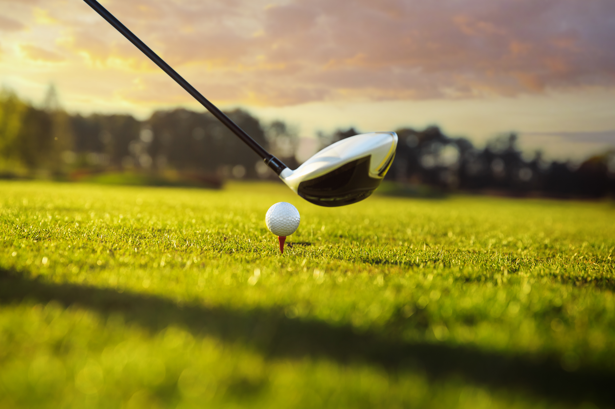 Tournaments & Specials - Foothills & Meadows Golf